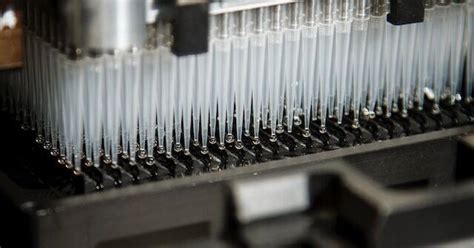 How Does Amplicon Sequencing Work A Comprehensive Guide Featured