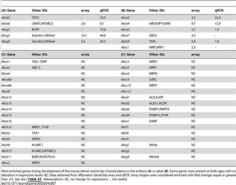 Abc Transport Drug Efflux Gene Expression In Mouse Lateral Ventricular Download Table