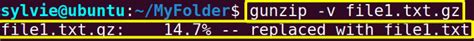 The “gunzip” Command In Linux 9 Practical Examples