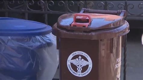 What To Compost In Nyc Heres A Full List