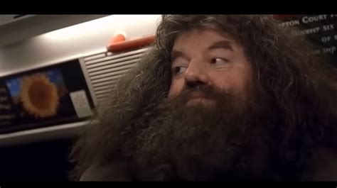 Названа причина смерти Робби Колтрейна сыгравшего Хагрида в «Гарри Поттере