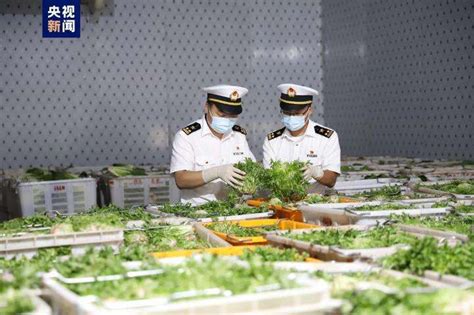 8月以来 青海冷凉蔬菜供应粤港澳大湾区超两万吨
