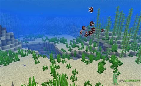 ⛏️ Fr Minecraft Biome Océan Tiède