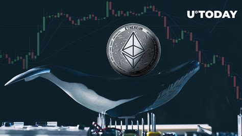 Ethereum Eth Drops 5 Mysterious Whale Shows Very Strange Behavior Lookonchain U Today