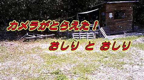 020『山小屋 防犯カメラ』 Youtube