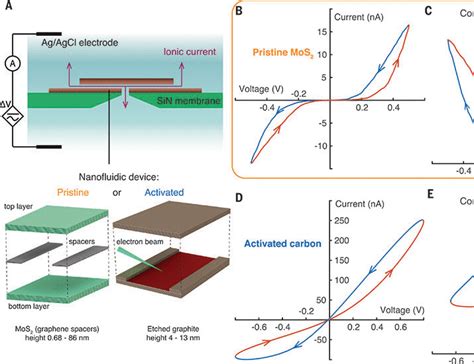 sujit sarkar on linkedin long term memory and synapse like dynamics in