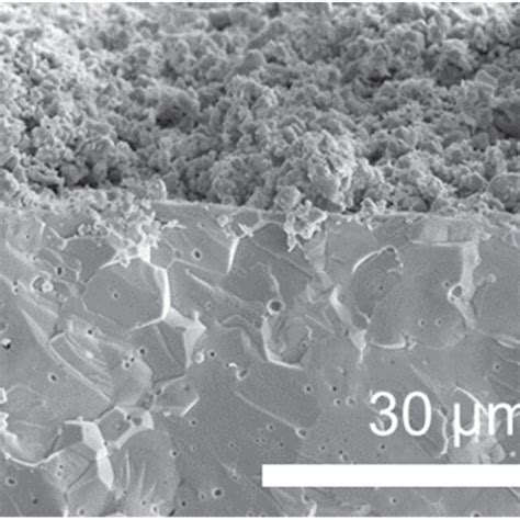 A Sem Image Of Cross Section Area Of An As Prepared Symmetric Cell