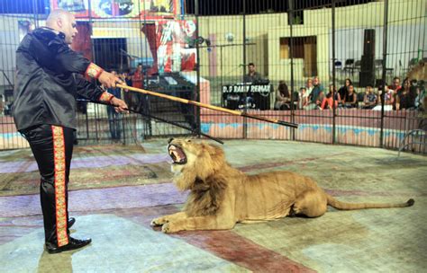 ОХУ д циркэд амьтан ашиглахыг хориглох тухай хуулийг хэлэлцэнэ