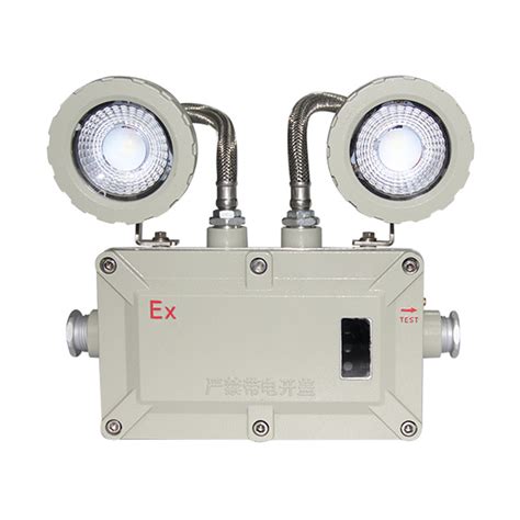 IP65 220V Double Head Hazardous Zone Emergency Lamp Ex Safe LED Lighting Hanging Anti Explosion