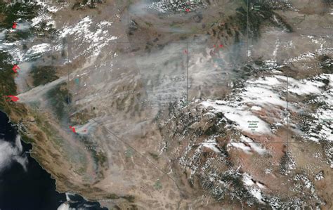 Is The Smoke From Wildfires Dangerous To Birds All About Birds