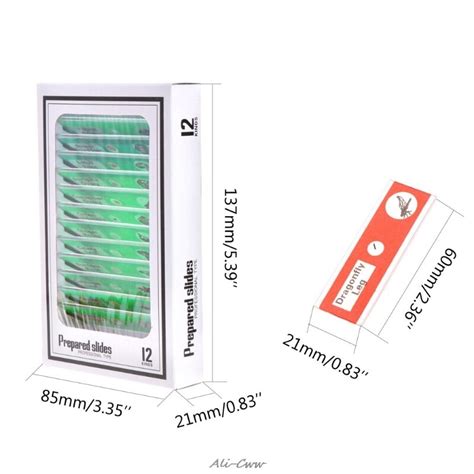 48pcsset Prepared Microscope Slides Specimen Anim Grandado