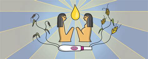 Pee Is For Pregnant The History And Science Of Urine Based Pregnancy