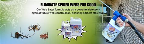 Web Eater 32 Oz Concentrated Spider Web Washaway Spray With