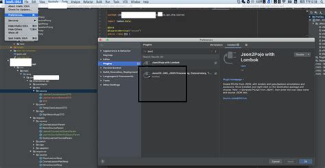 Sharing Json2pojo With Lombok Widget Using Automatically Generated
