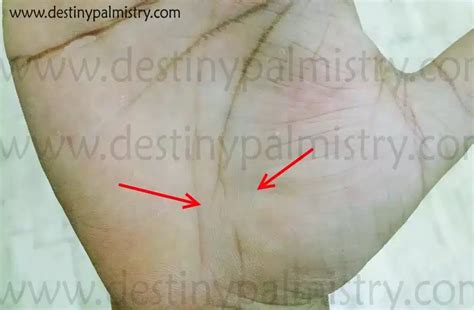 What Does It Mean If Your Life Line Is Broken Destiny Palmistry