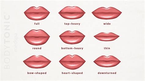 What Are The Different Types Of Lip Shapes