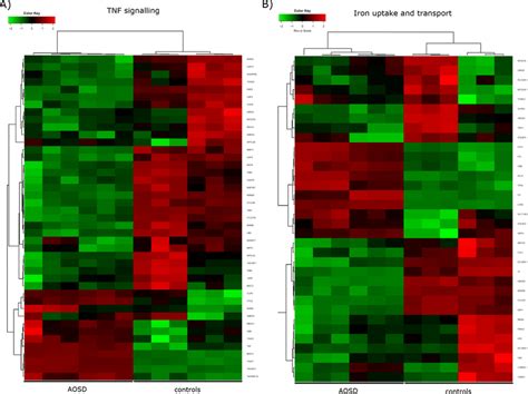 Clustered Heatmaps Of TNF Signalling A And Iron Uptake And Transport