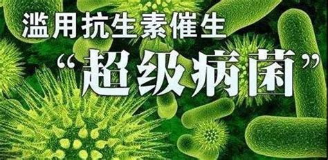 2020年“饲料全面禁抗”有哪些影响？