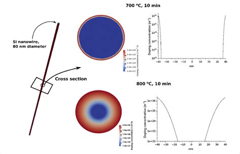 Numerical Simulations Of Phosphorous Diffusion In Silicon Nanowires