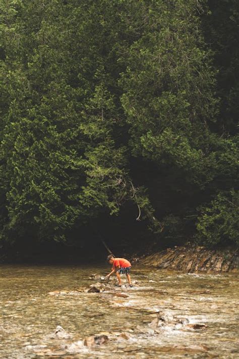 Gaspésie 강가 건물 건축 경치 고독 고립된 고요한 광활한 구름 구름 숲 그림 같은 낚시 낚시 장비 낮 녹지 농가 농촌의 독특한 들판