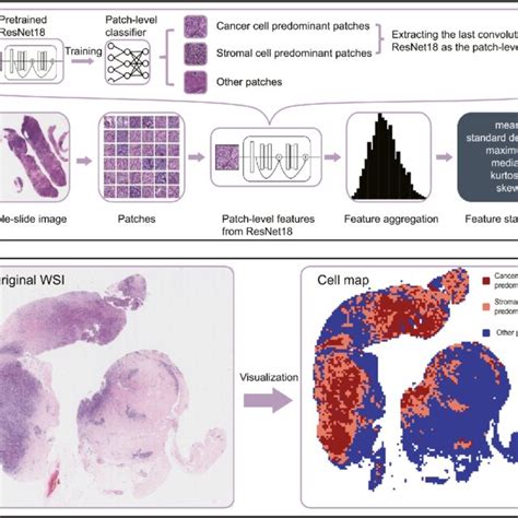the roc curve for prediction performance using dlpm in the a hr and download scientific