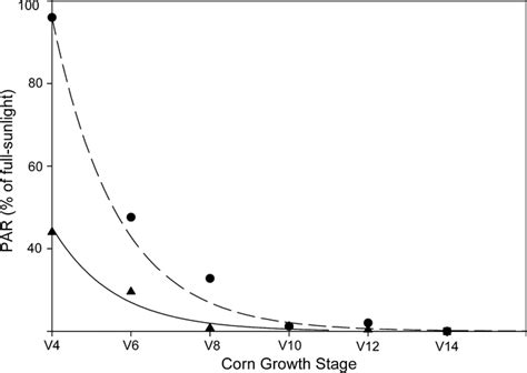 Common Waterhemp Amaranthus Rudis Interference In Corn