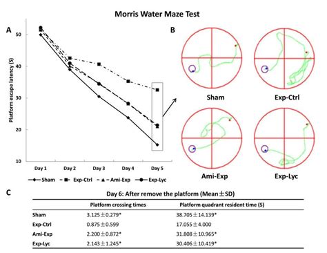 Morris Water Maze Test Morris Water Maze Test Shows That The Average Download Scientific