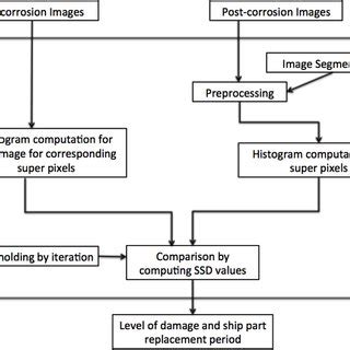 Flow Diagram For Damage Assessment Download Scientific Diagram