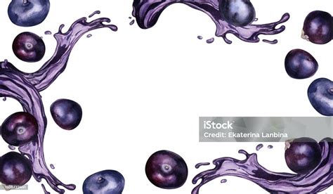 아사이 열매와 주스가 튀는 수채화 그림의 프레임은 흰색으로 분리되어 있다 이국적인 아마존 작은 보라색 열매 열대 과일 손으로 그렸습니다 포장 라벨 주방용품 디자인 요소 0