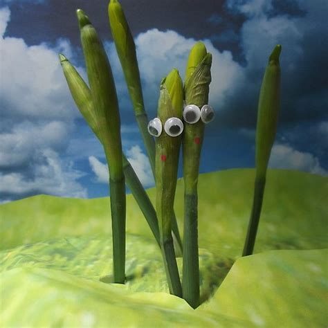 Best Buds Best Bud Bud Best Best Buds Best Bud Bud Best