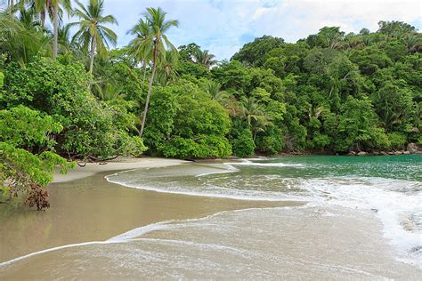 Ultimate Guide To Manuel Antonio National Park Kimkim