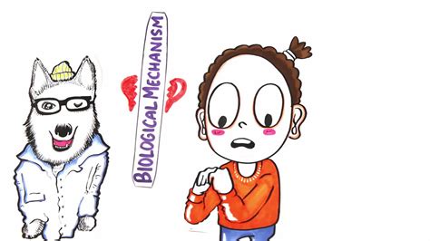 What Happens When A Person Has Sex With An Animal Gigazine