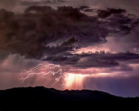 Susan Coppock