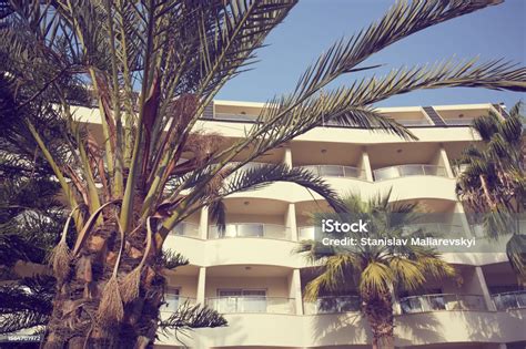 해질녘에 야자수가 있는 열대 해변 풍경 파라다이스 디자인 배너 배경 빈티지 효과 야자수가 있는 골목 종려 나무 잎 0명에 대한 스톡 사진 및 기타 이미지 Istock