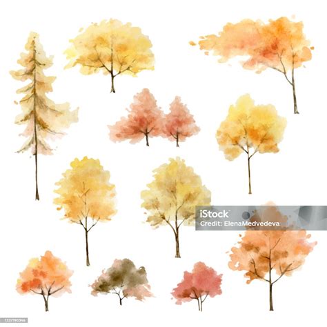 흰색 배경에 고립 된 수채화 벡터 가을 나무 세트 엽서 인사말 카드 스크랩북 등의 디자인에 대한 손으로 그린 그림 수채화에 대한 스톡 벡터 아트 및 기타 이미지 Istock