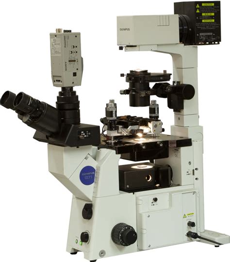 Microscopy Scanning Probe Scanning Probe Microscopy