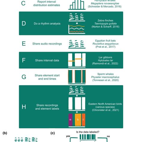 Reporting Framework Visual Guide And Key Concepts A Overview Of Download Scientific Diagram