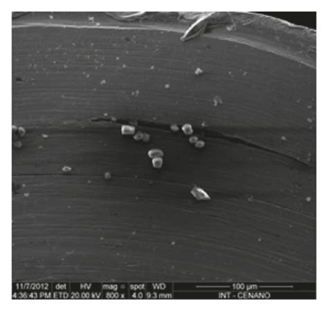 Sem Analysis Photomicrographs Uef 3 Sample A B C With Areas Download Scientific Diagram