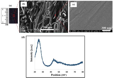 A Macrograph B C Micrographs Of Sem And Fesem Respectively And D
