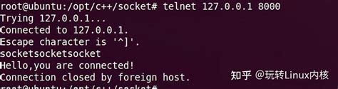 Linux Socket