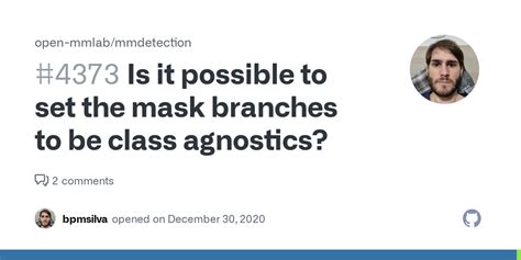Is It Possible To Set The Mask Branches To Be Class Agnostics Issue Open Mmlab