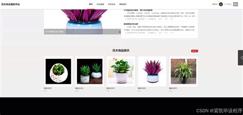 node js毕设花木综合服务平台 论文 程序 csdn博客