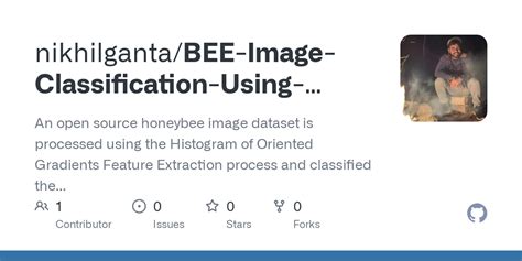 Github Nikhilgantabee Image Classification Using Feature Extraction And Random Forests An
