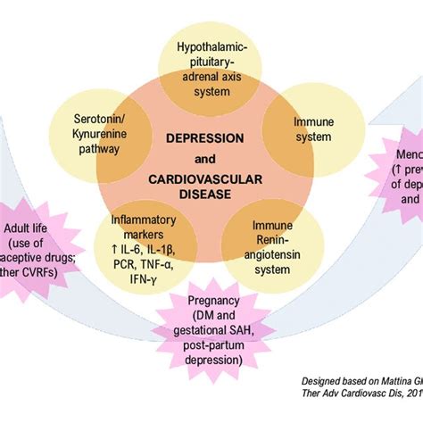 Pathophysiology Of Depression And Cardiovascular Disease Download