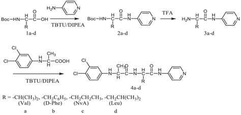 Scheme 1 Synthesis Of New Dipeptide Derivatives Of 4 Ap Download