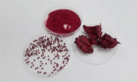 Roselle A Hero Ingredient To Help Manage Obesity