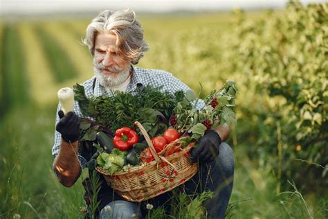 Місячний посівний календар садівника городника на листопад 2023