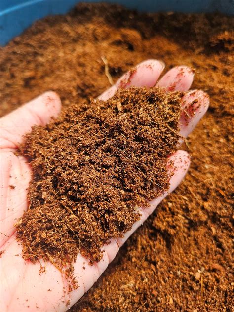 Coco Peat 5kg Gpfcorp