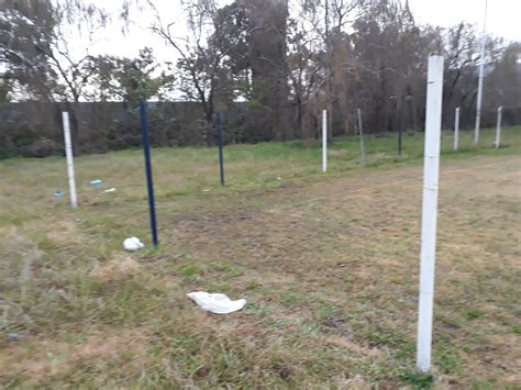 Tierra De Nadie El Predio De Inferiores De Quilmes Sufrió 7 Robos En