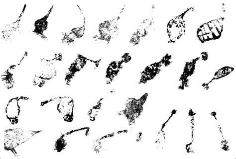 Traced Examples Of The Tassel Headdress Type Showing Consistency And Download Scientific